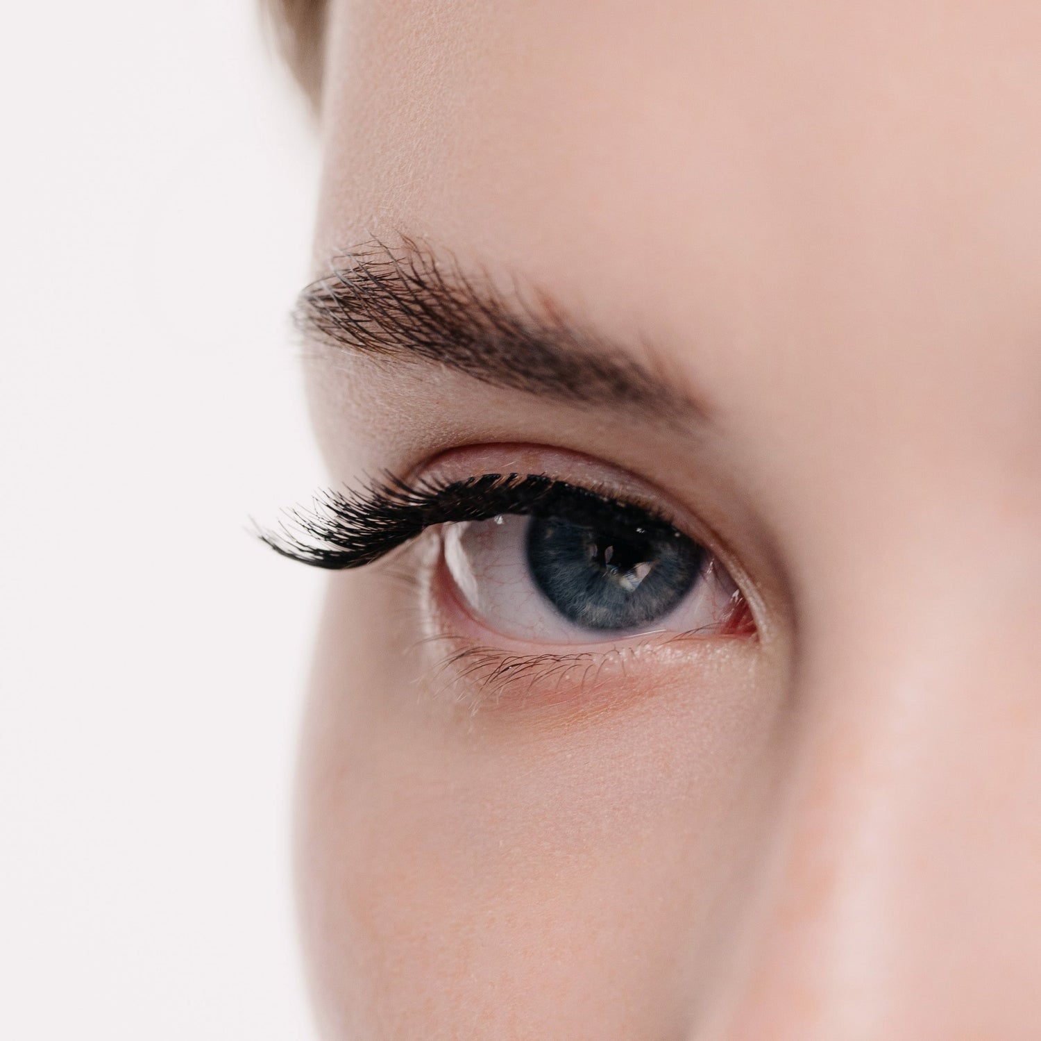 #1 Trending Magnetic Lashes – kenevabeauty